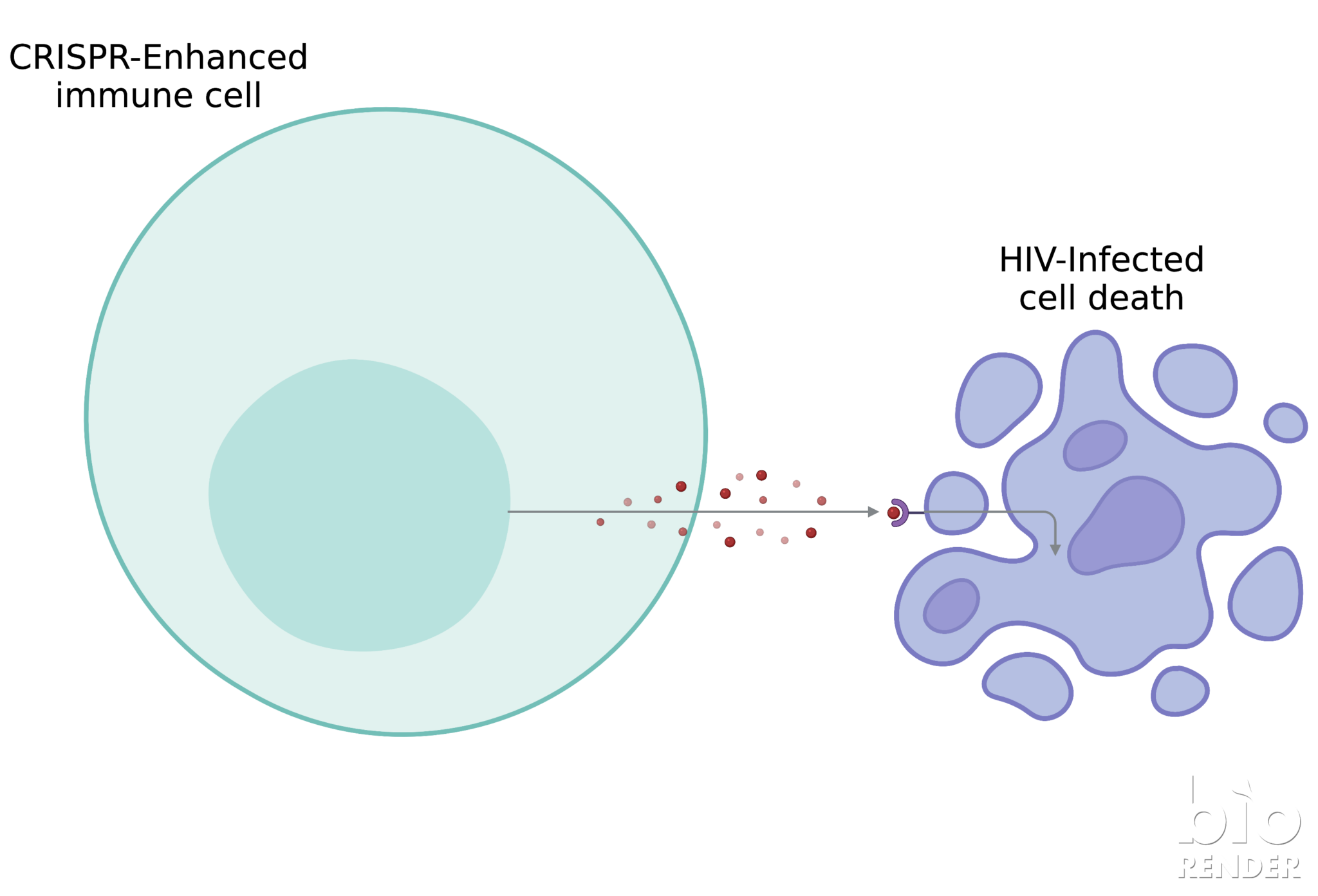 Our Approach | CRISPR For Cure